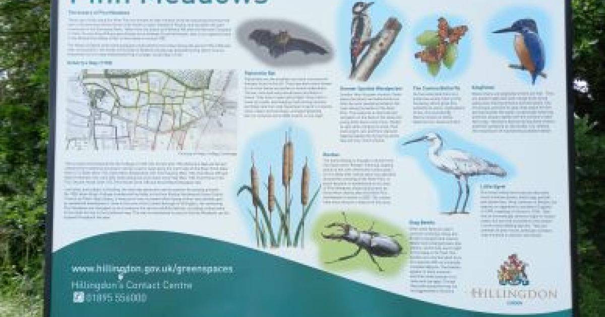 Walk 'n Talk from Manor Farm (Ruislip) library - Ramblers