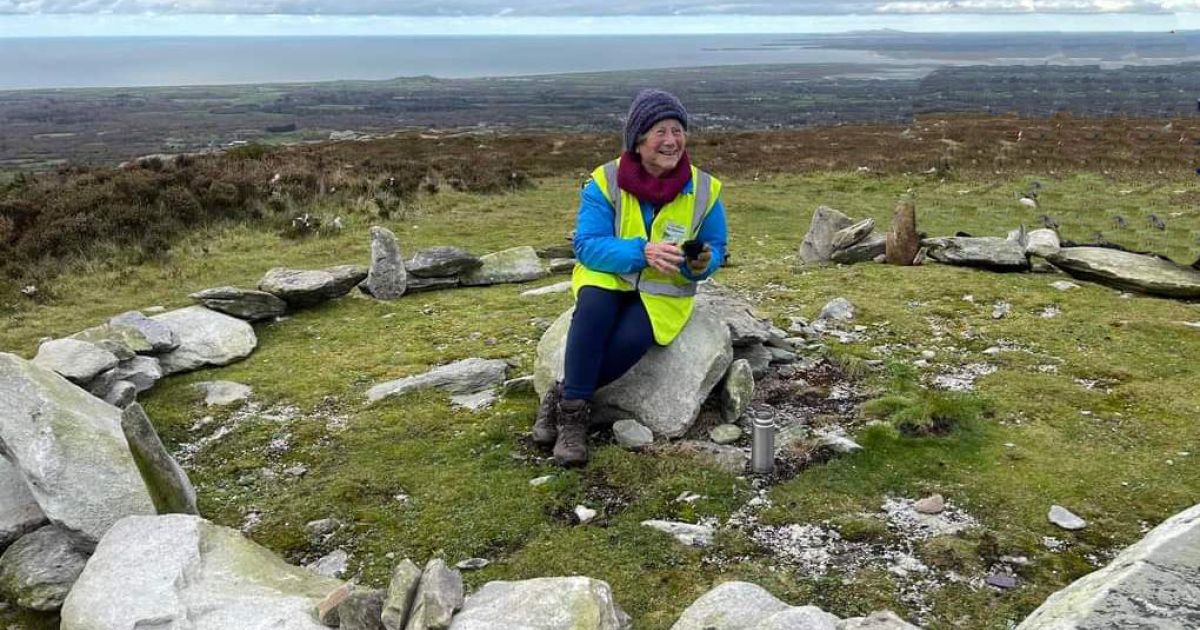 Rachel's Famous Short Walks: Top of Cilgwyn + Rock Cannon D 4 - Ramblers