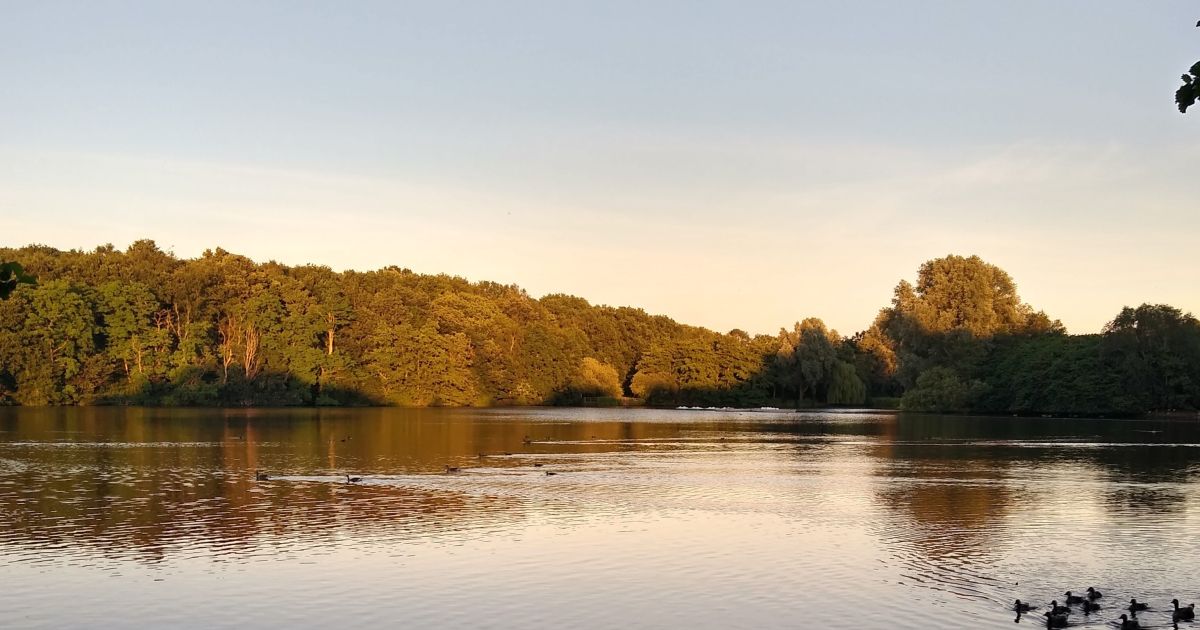 Rufford evening walk - Ramblers