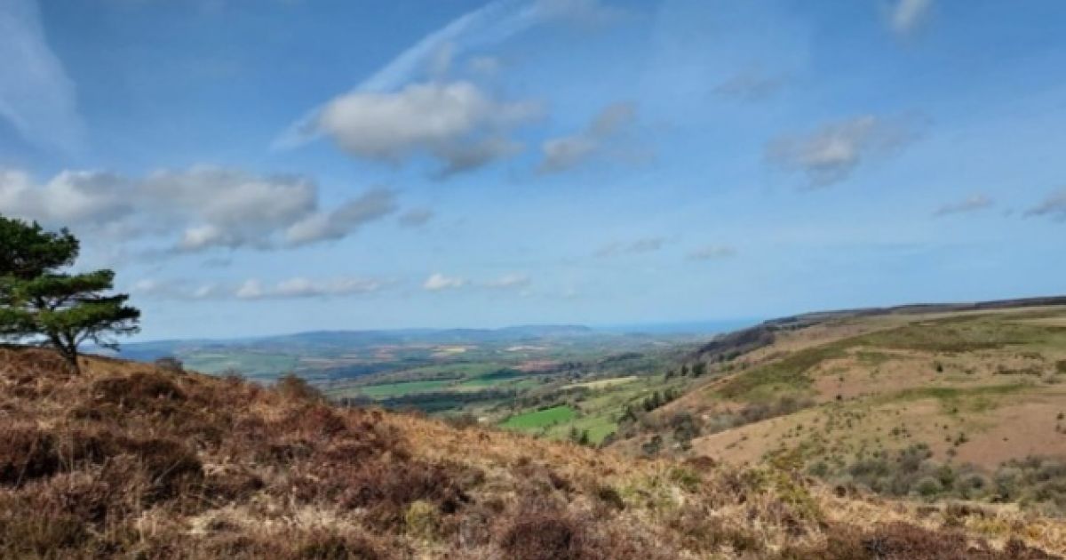 Quantocks Hills. Please book with the Leader - Ramblers