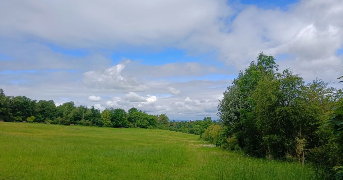 East Clandon, Hatchlands and Sheepleas - Ramblers