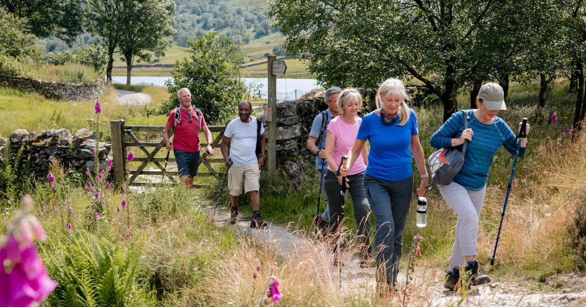 General Election: What the party manifestos say about access to nature ...