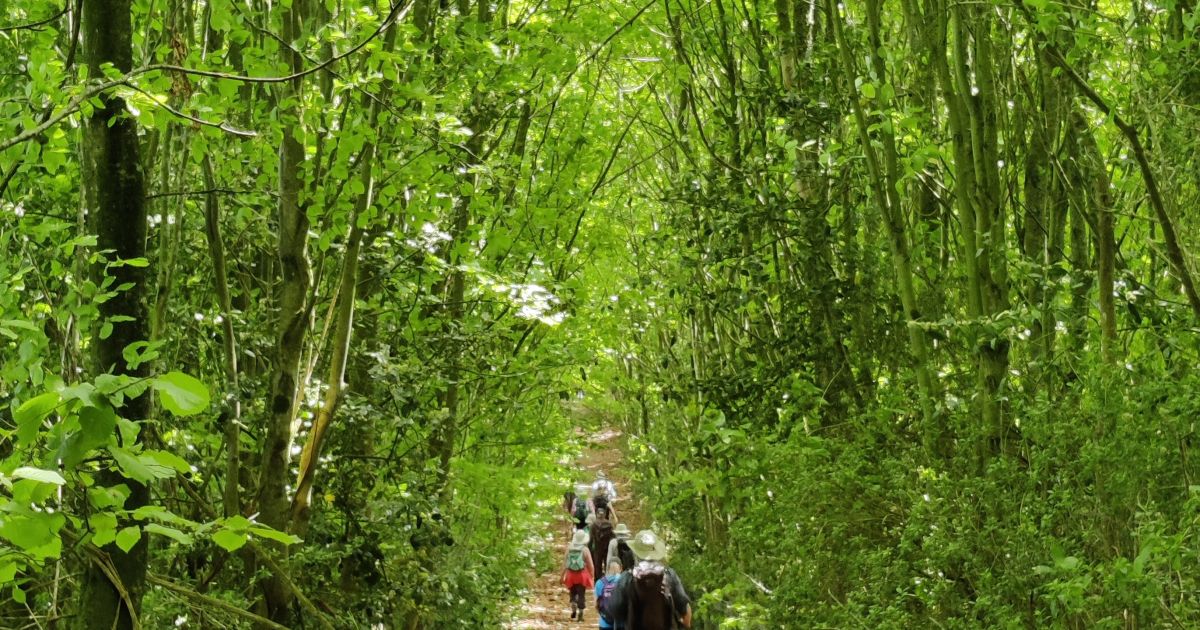 West Meon CircularCANCELLED - Ramblers