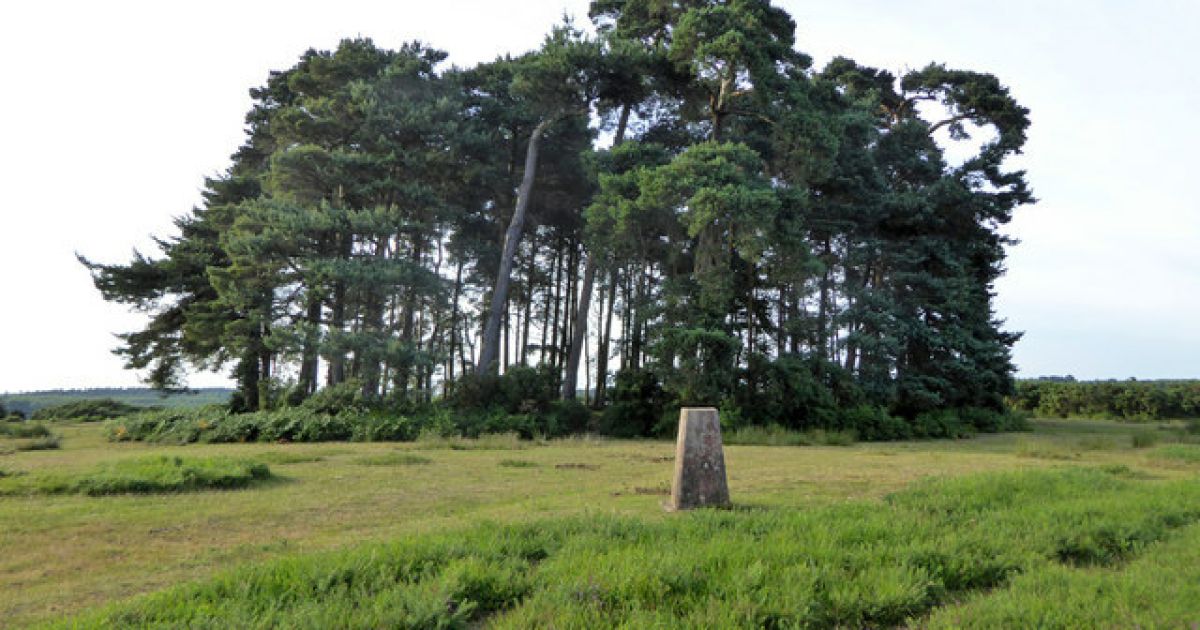 Mark's Ashdown Forest & beyond to High Hurstwood 12.5 miles - Ramblers