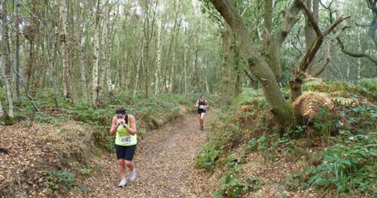 Hopwas Woods (Tamworth, Staffordshire) 5.5m 13/07/24 - Ramblers