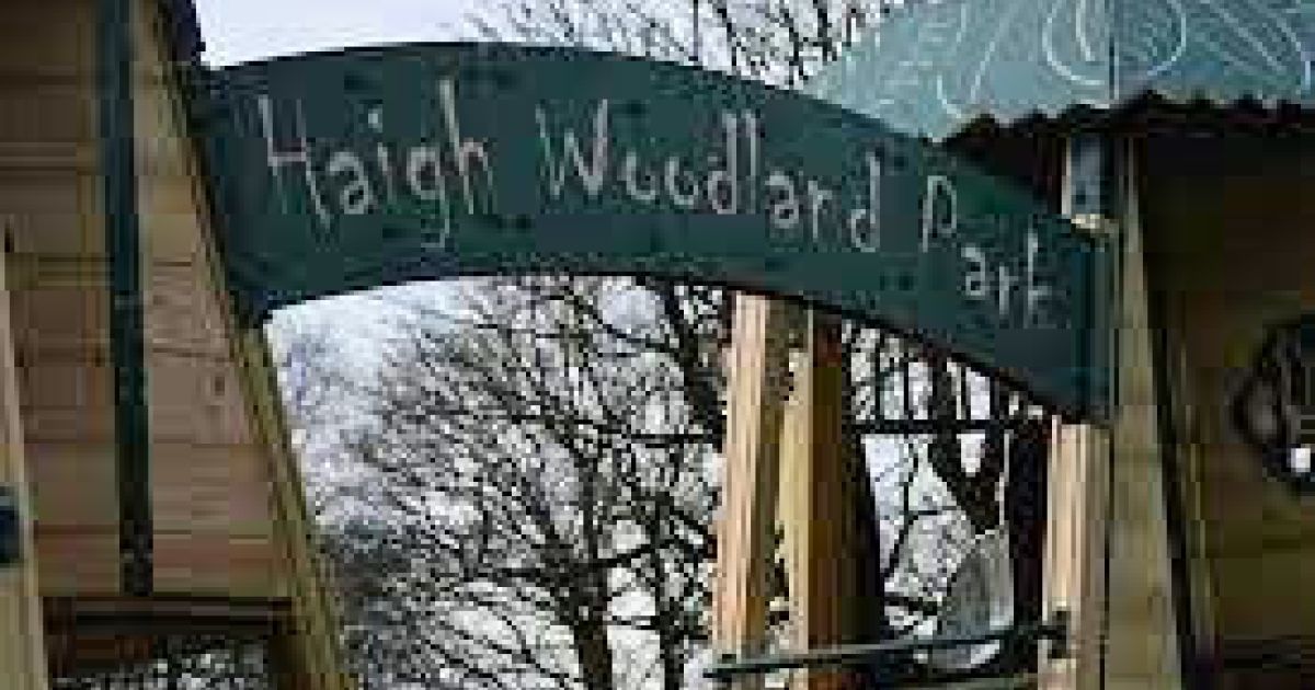 Bump And Buggy - Haigh Woodland Park