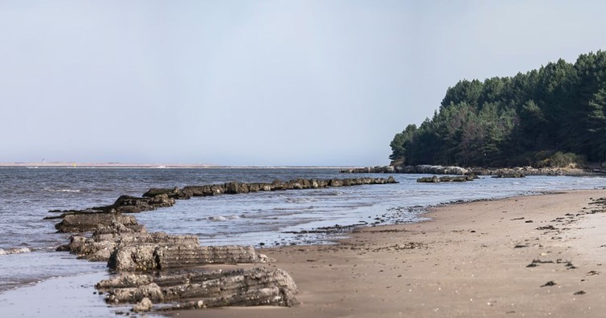 Tentsmuir Forest & Morton Lochs - Ramblers