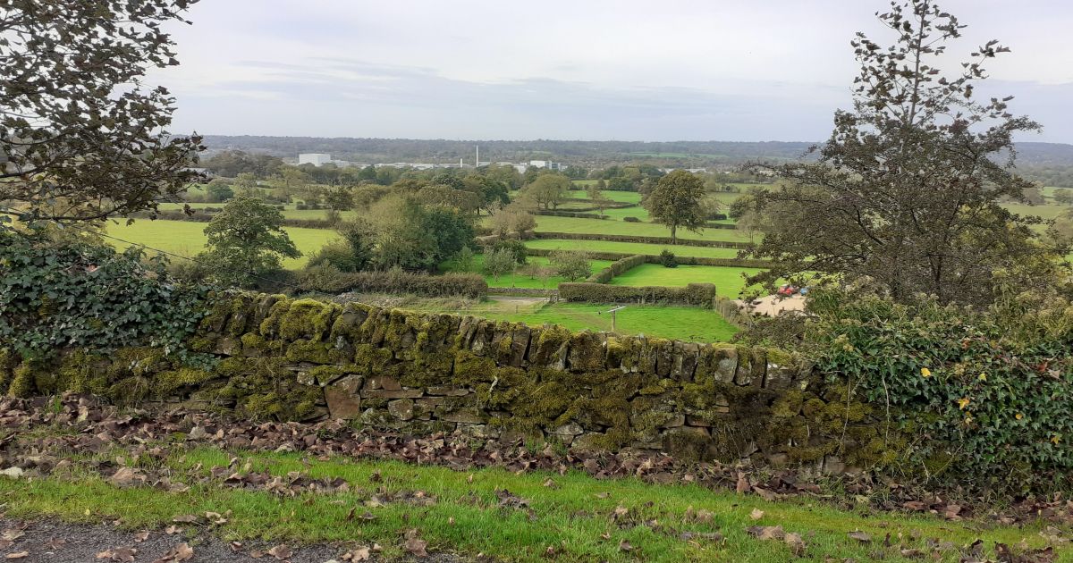 An Amble Around Kerridge Ridge - SHORT WALK