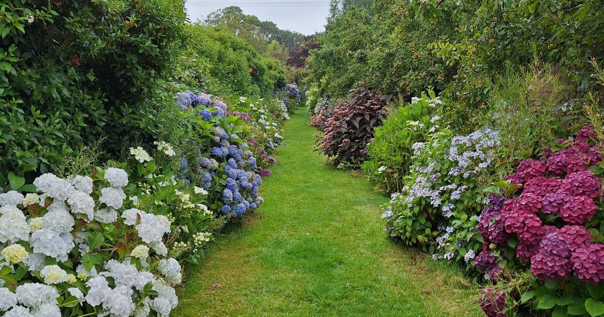 Along the banks of the Dee from Erbistock - Ramblers