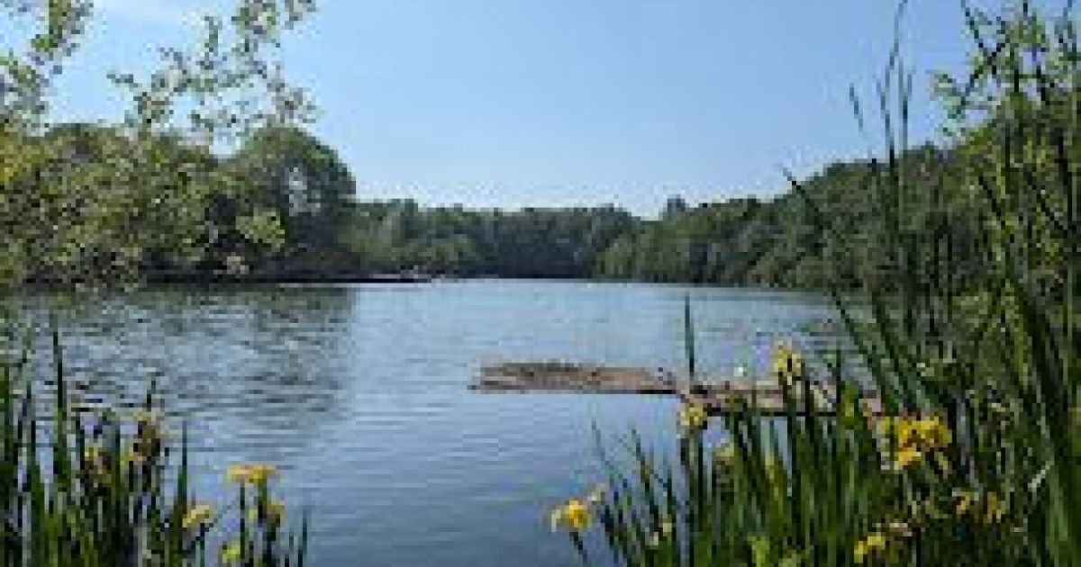 Weekly Walk - Three Sisters Local Nature Reserve