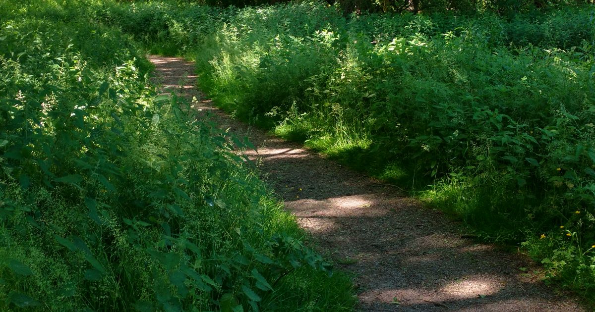 Heather Farm and Fairoaks - Ramblers