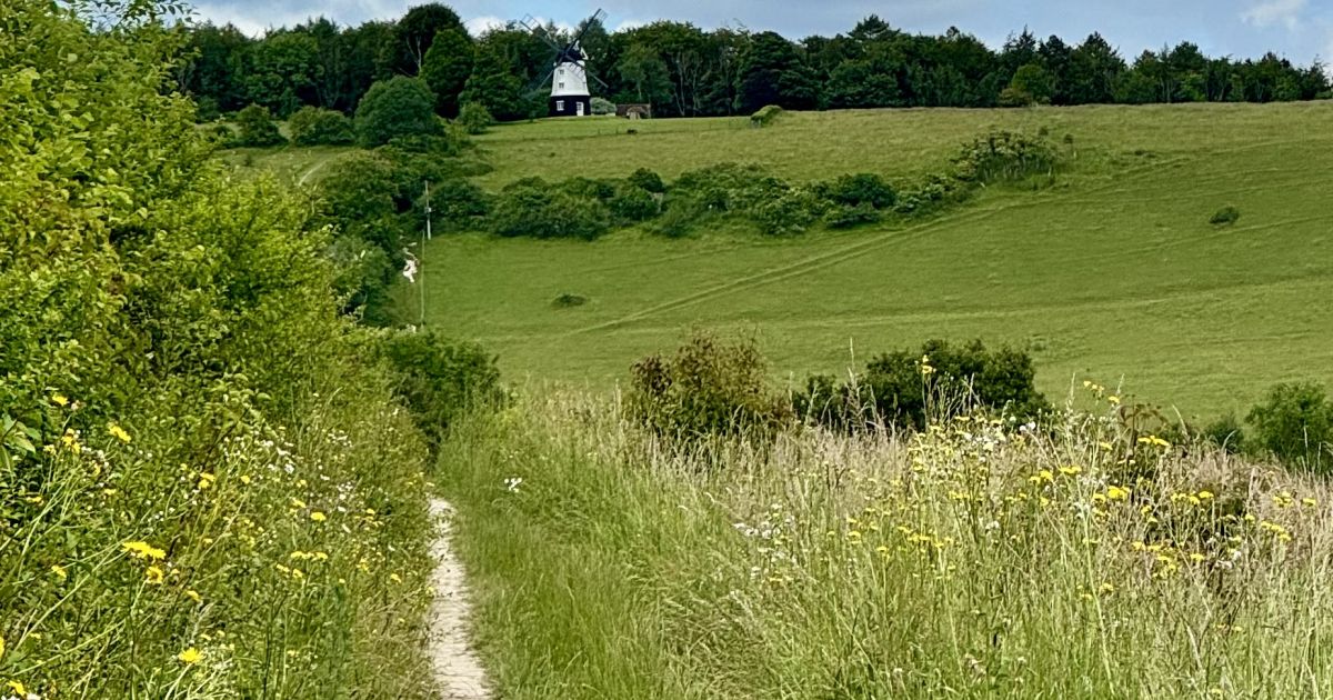 Bletcham Bound: Rolling Hills and Woodland Trails (Joint walk with the ...
