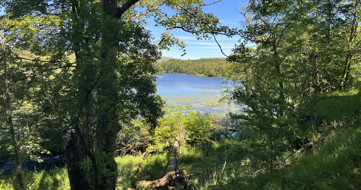 Mugdock and Dumbrock Circular - Ramblers