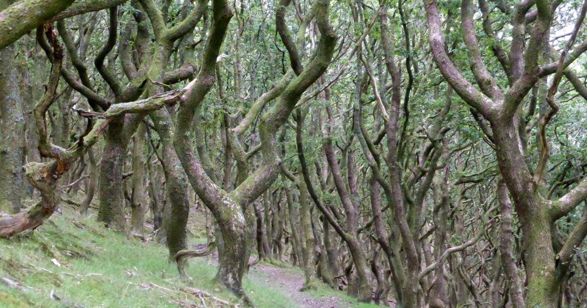 Darran Valley 10 Trail - Ramblers
