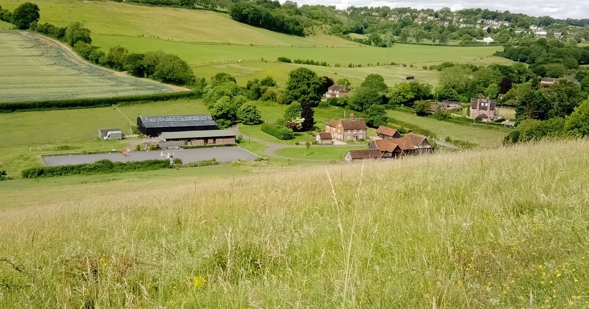 Piddington, Bledlow Ridge, Hearnton Wood - Ramblers