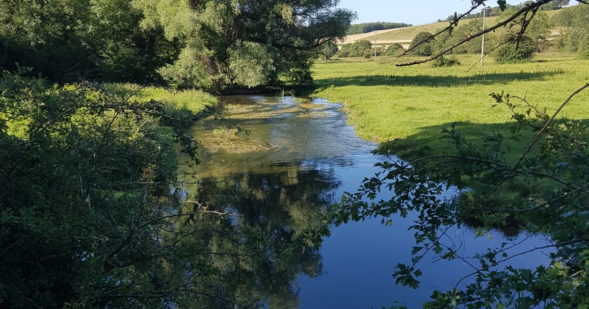 MAJESTIC MEON - Ramblers