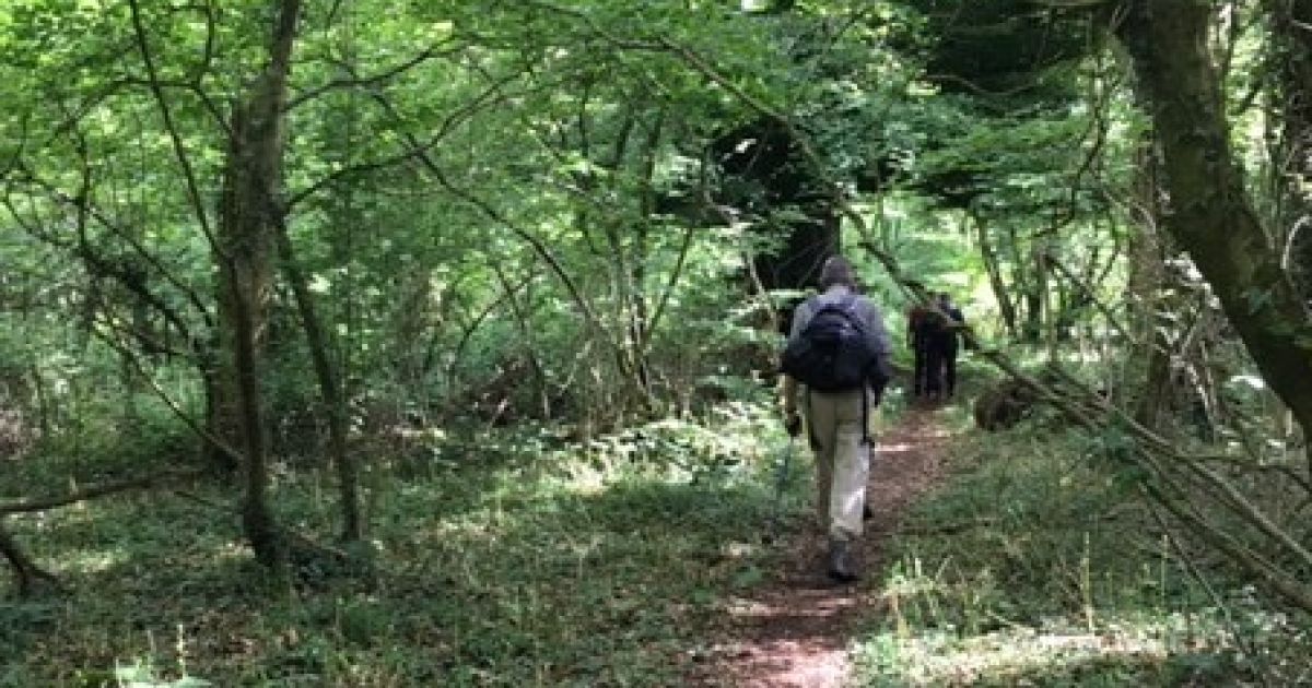 Friday 4 miler Fair Oak and area circular - Ramblers