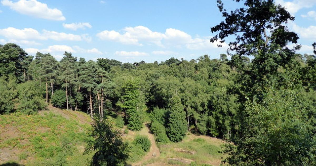 Potton circular, 9 miles, moderate - Ramblers