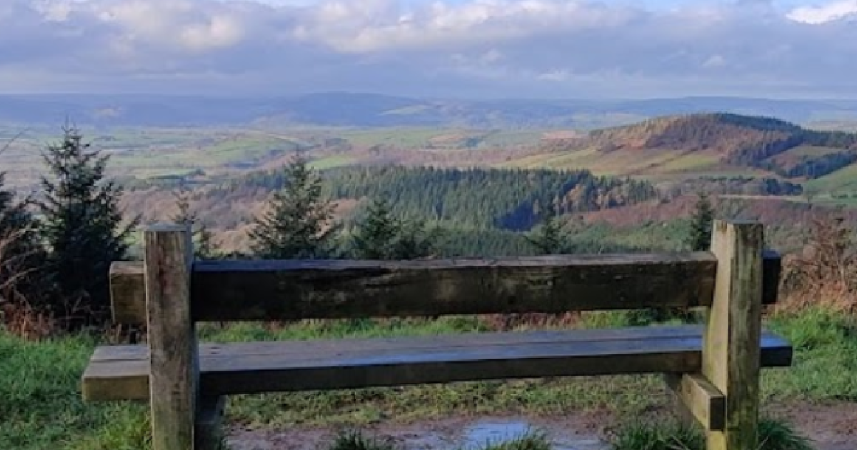 High Vinnalls, Mortimer Forest, NR Ludlow - Ramblers