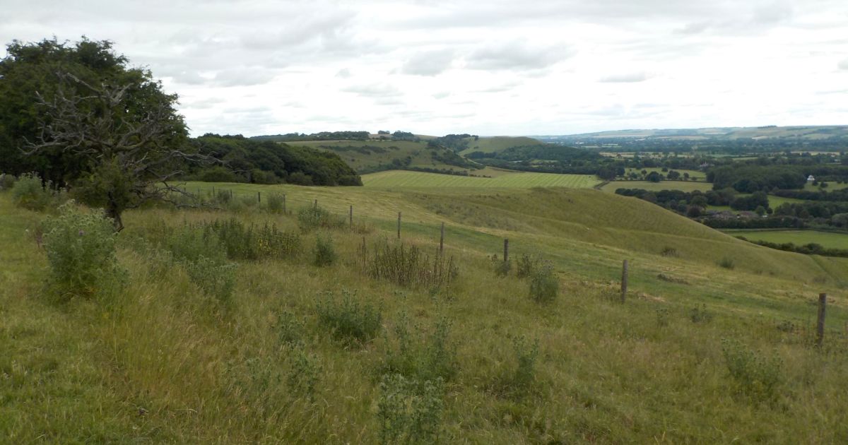 Knap Hill, Draycott Hill & Wansdyke Path. - Ramblers
