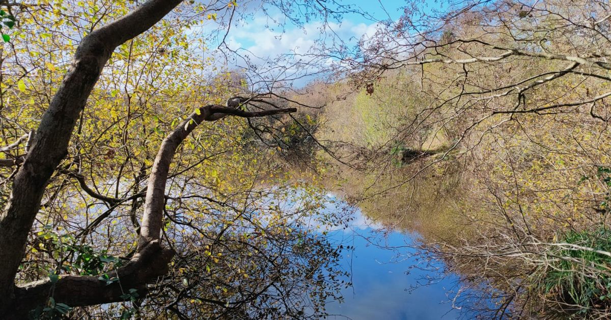 WAGGONERS WELLS - Ramblers