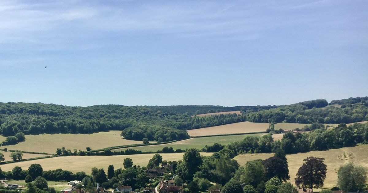 Bletcham Bound: Rolling Hills and Woodland Trails - Ramblers