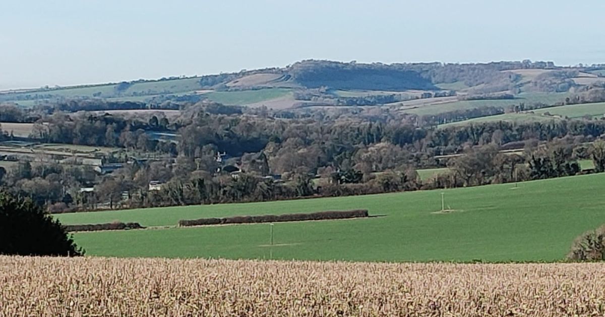 EAST MEON - Ramblers