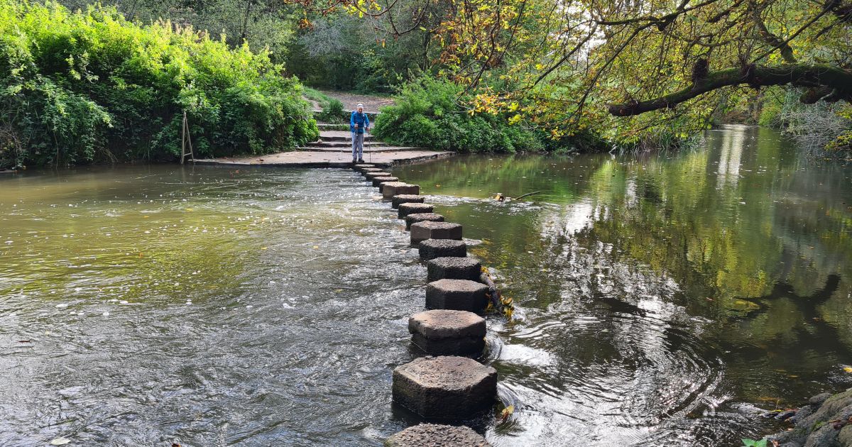 Box Hill hike plus (Booking Required) - Ramblers