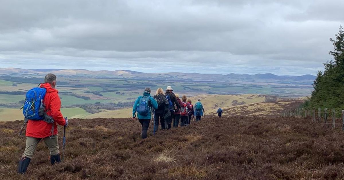 Eddlestone Circular via Cavarra Hill (new route avoiding trackless ...