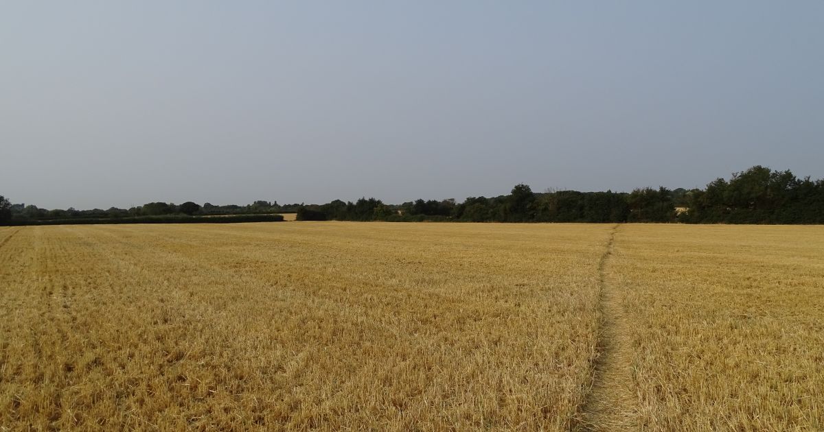 The circuitous path to Ws - Ramblers