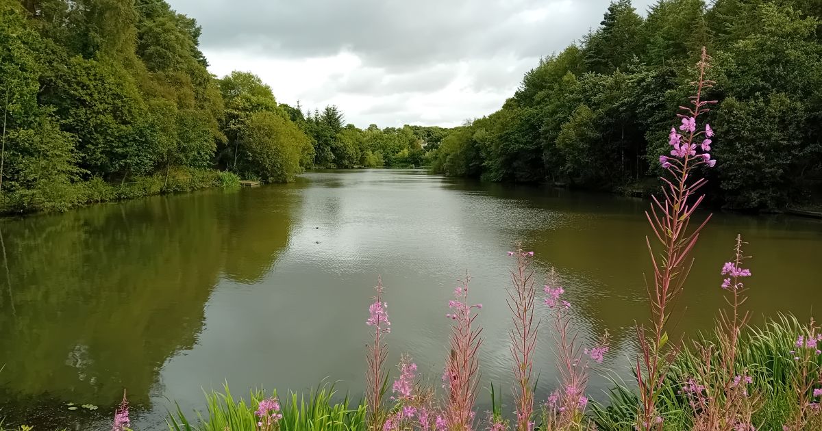 Eliburn Reservoir & the River Almond Evening Circular - Ramblers