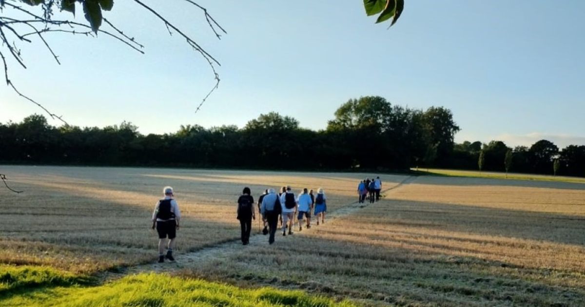 Friday 4 miler Lower Upham circular - Ramblers