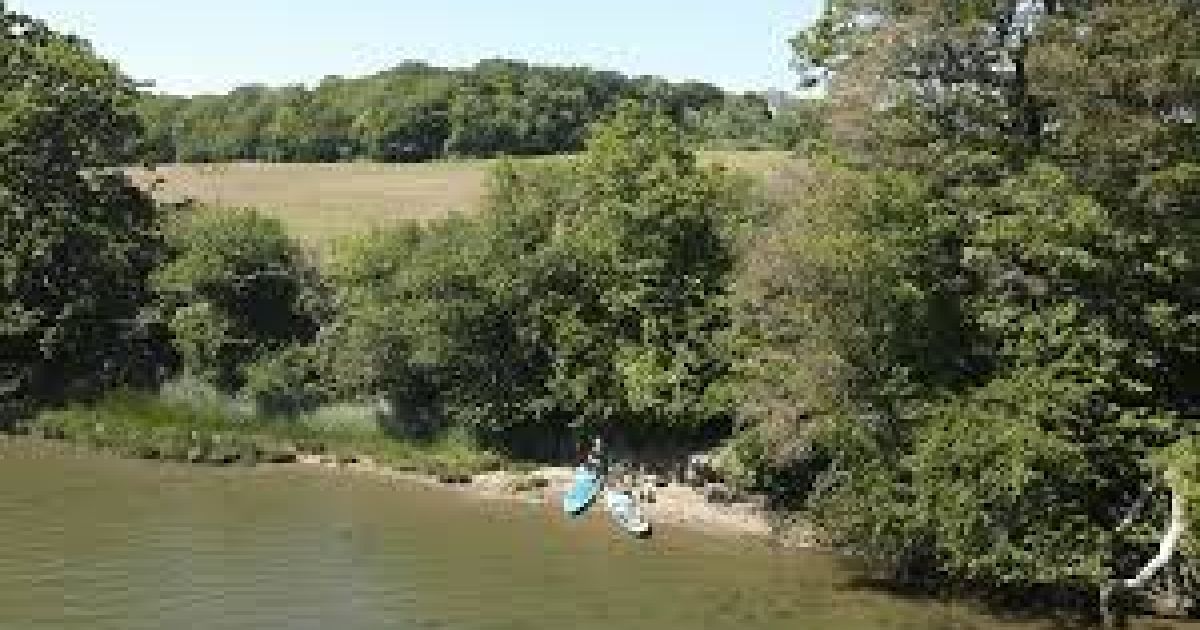 Friday 4 miler Hedge End circular - Ramblers