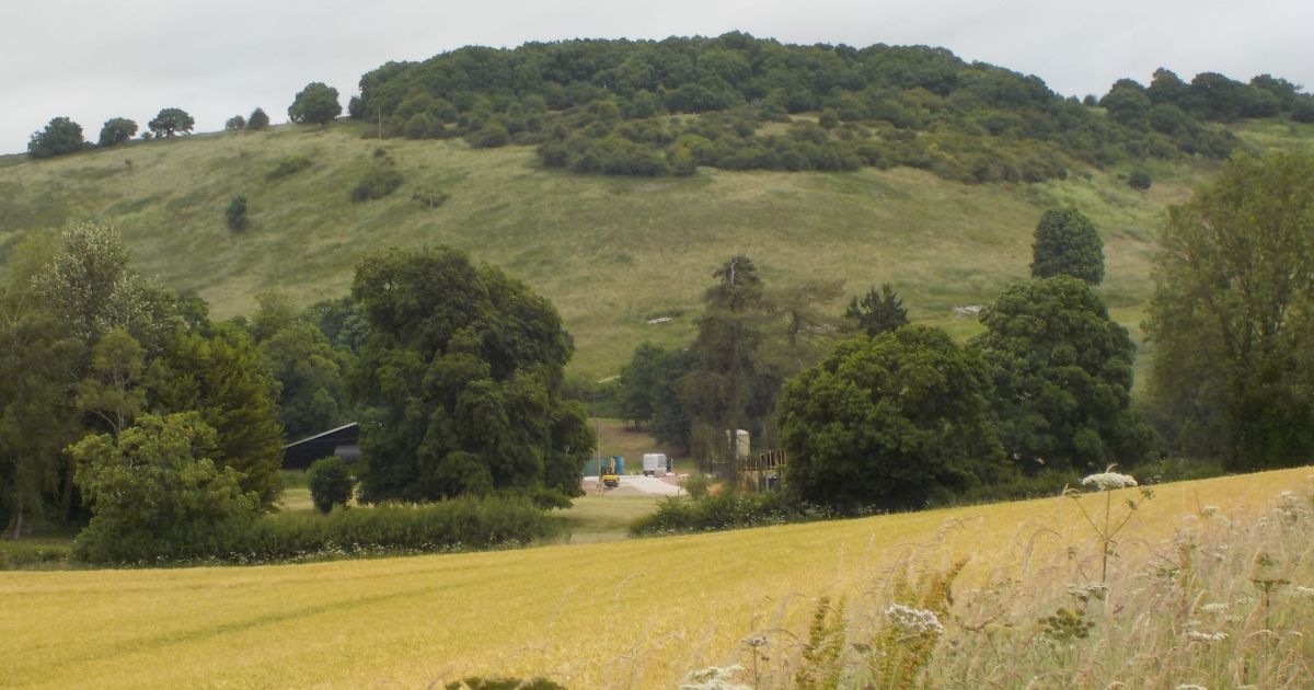 Hippenscombe Bottom, The Slay, Tidcombe and Picked Plantation - Ramblers