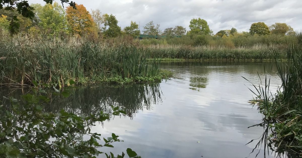 Claycart Hill, Fleet Pond & Pondtail - Ramblers