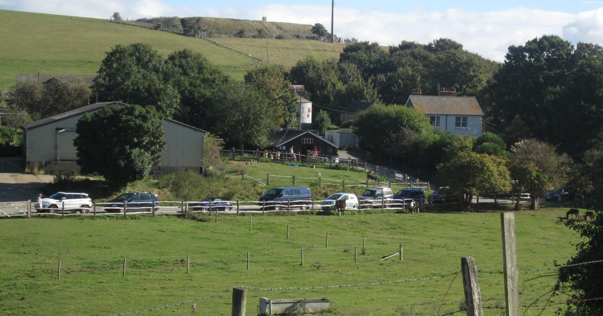 Holmbush to Mile Oak Farm