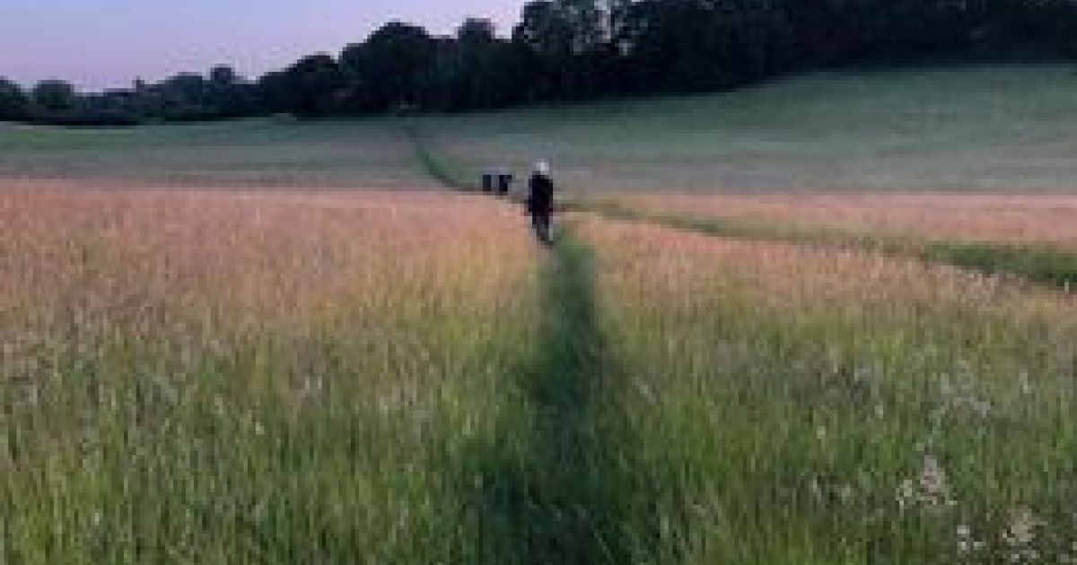 Michelmersh Circular - Ramblers