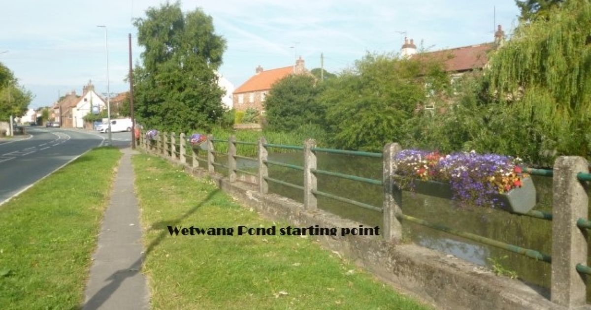 EYDA.MON Wetwang - Ramblers