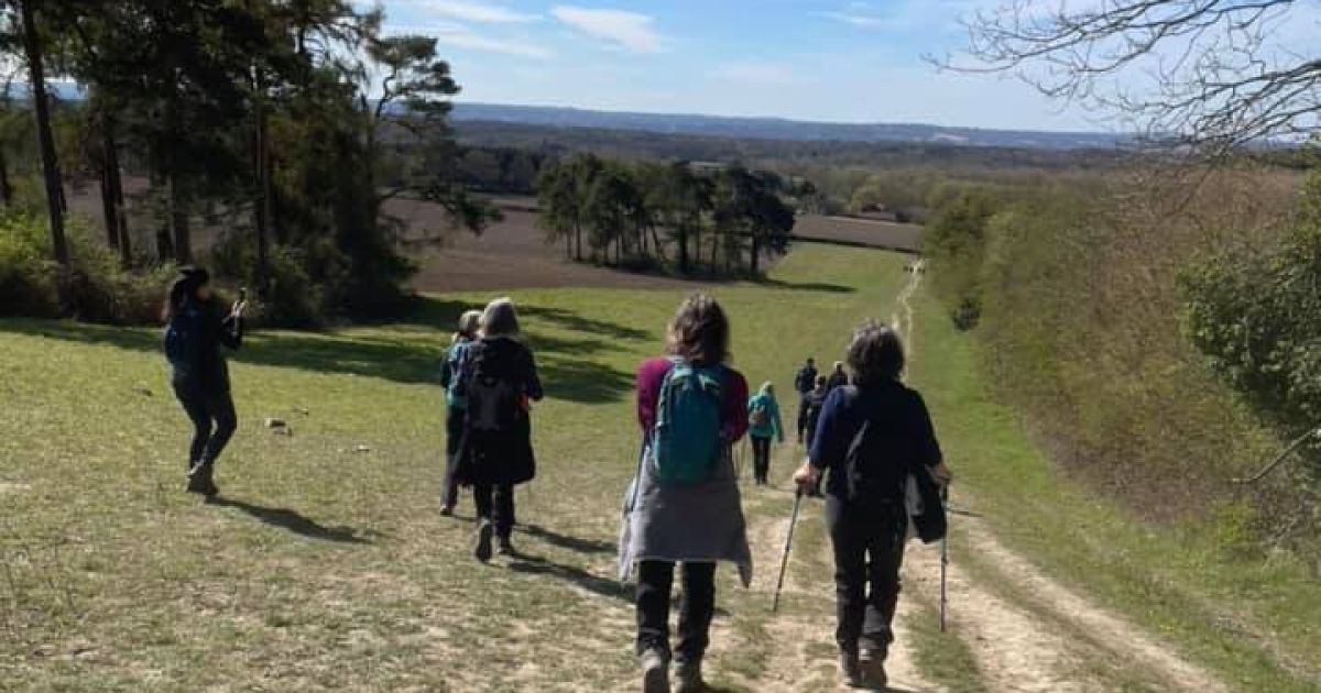 Wendy D's Shipbourne Circular - 4.5 miles - Ramblers