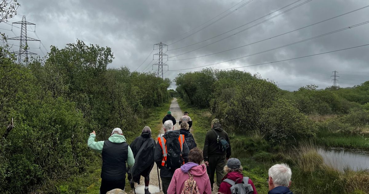 Goss Moor Wellbeing Walk