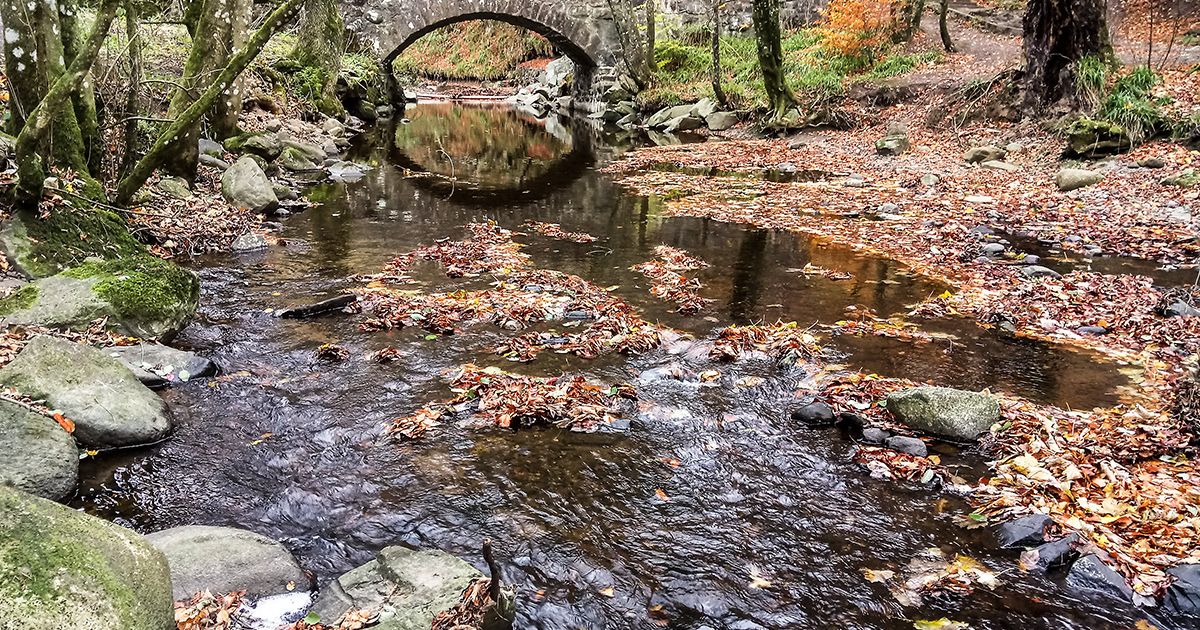 Tullyfergus & Den of Alyth - Ramblers