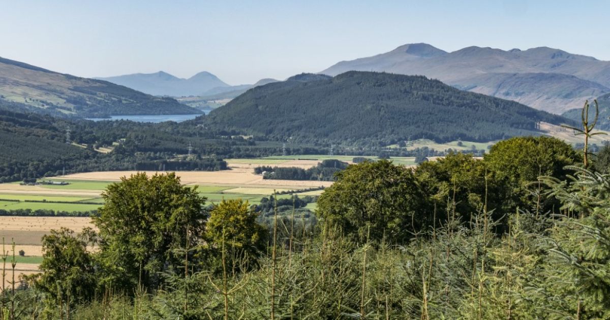 Weem Rock & Camserney - Ramblers