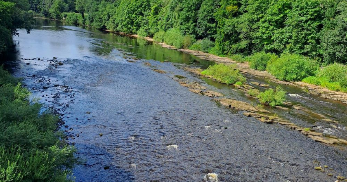 Stocksfield, Ovington, Ovingham circular - Ramblers