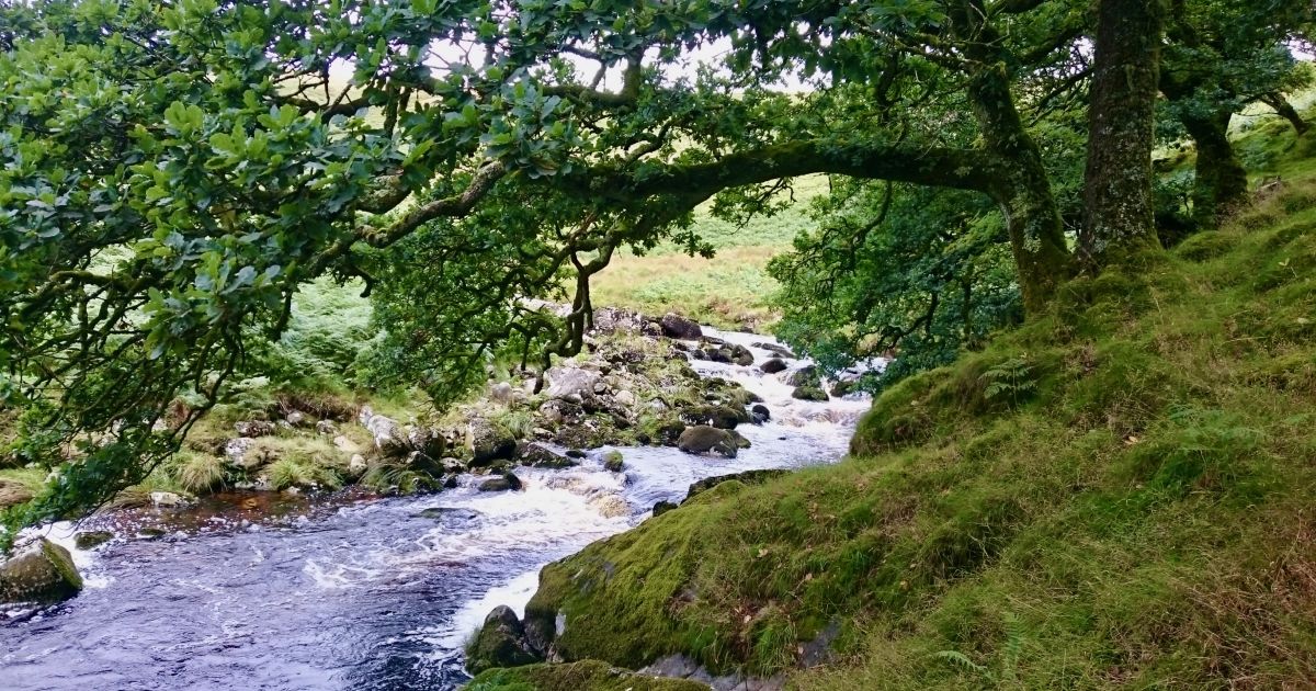 Piles Copse and riverside walk - Ramblers