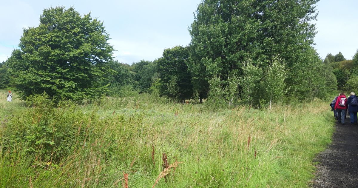 Airdrie circular - Ramblers