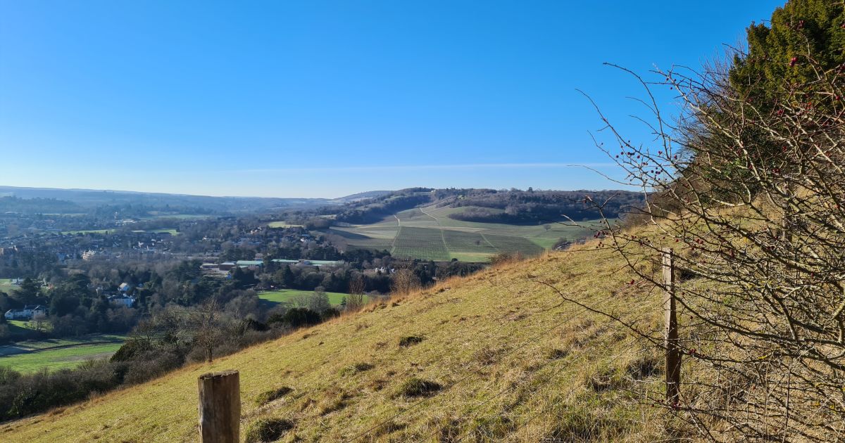 Betchworth Quarry and Lime Kilns - Ramblers
