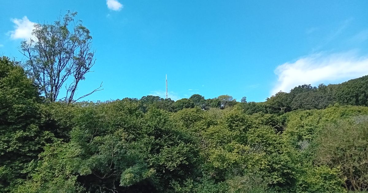 ***UPDATED*** Newport to Brighstone via Rowridge Mast - linear walk (9 ...