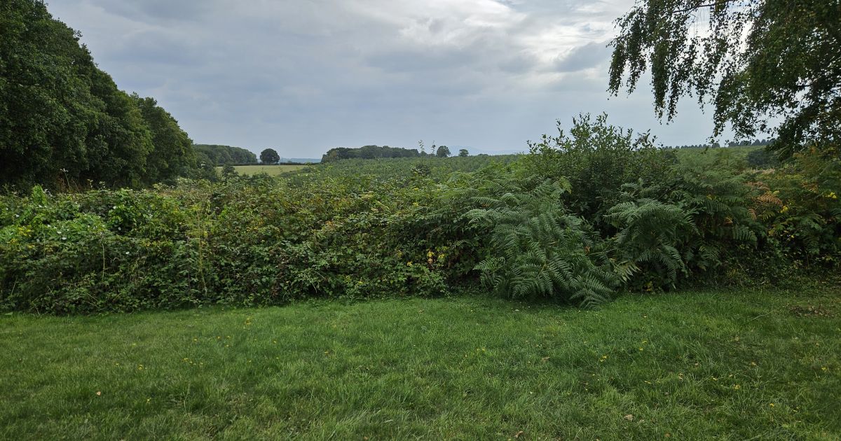 Sinton Green Circular - Ramblers