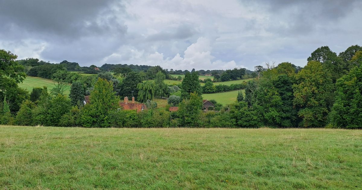 All Roads Lead To Reading: Henley to Caversham via Crowsley Park and ...