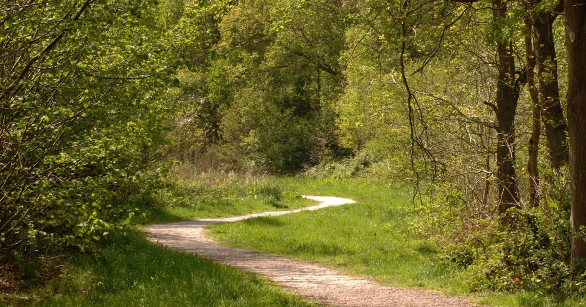 Chambers Plantation - Ramblers